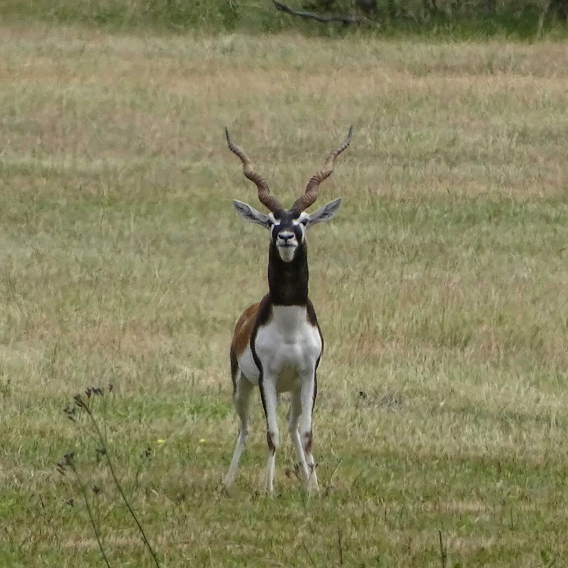Accommodations – Stoney Point Lodge