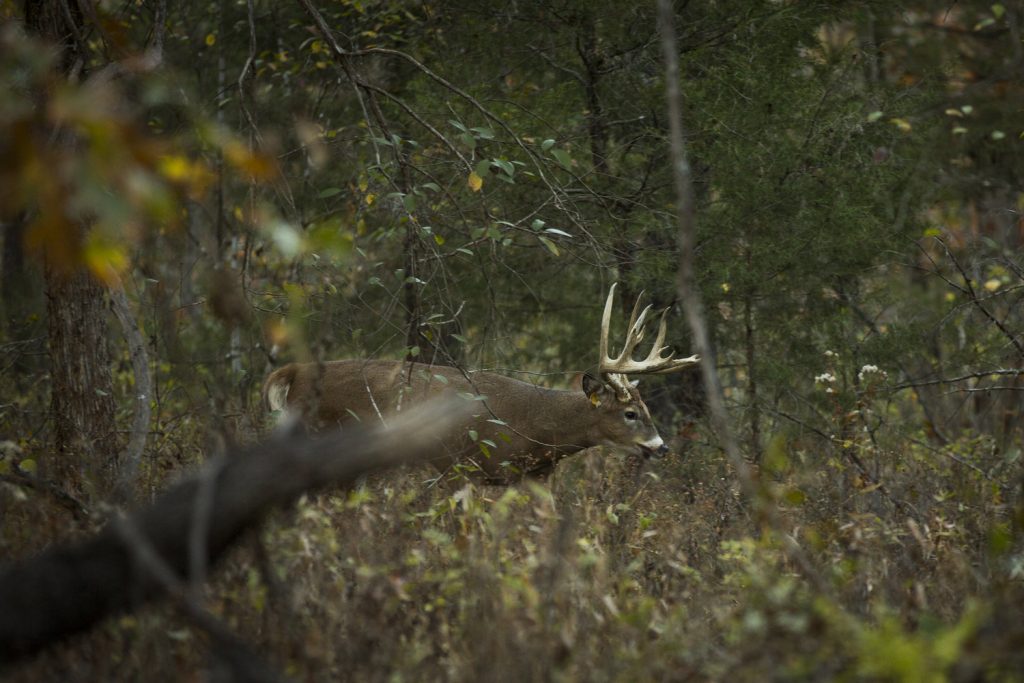 Accommodations – Stoney Point Lodge