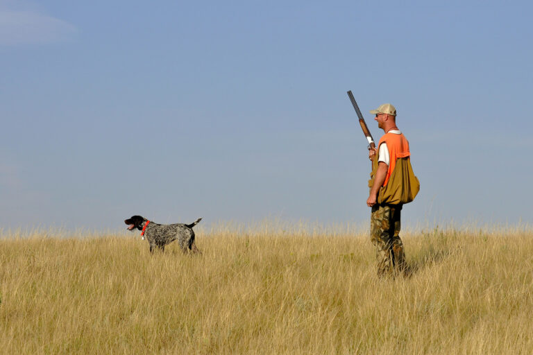 Bird Hunting – Stoney Point Lodge